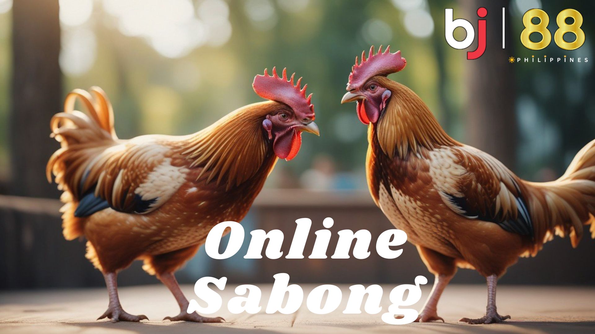 Feather Up Your Bets: BJ88 Sabong Free Bet Bonus - Start Your Sabong Journey with a Bang! - BJ88 ...
