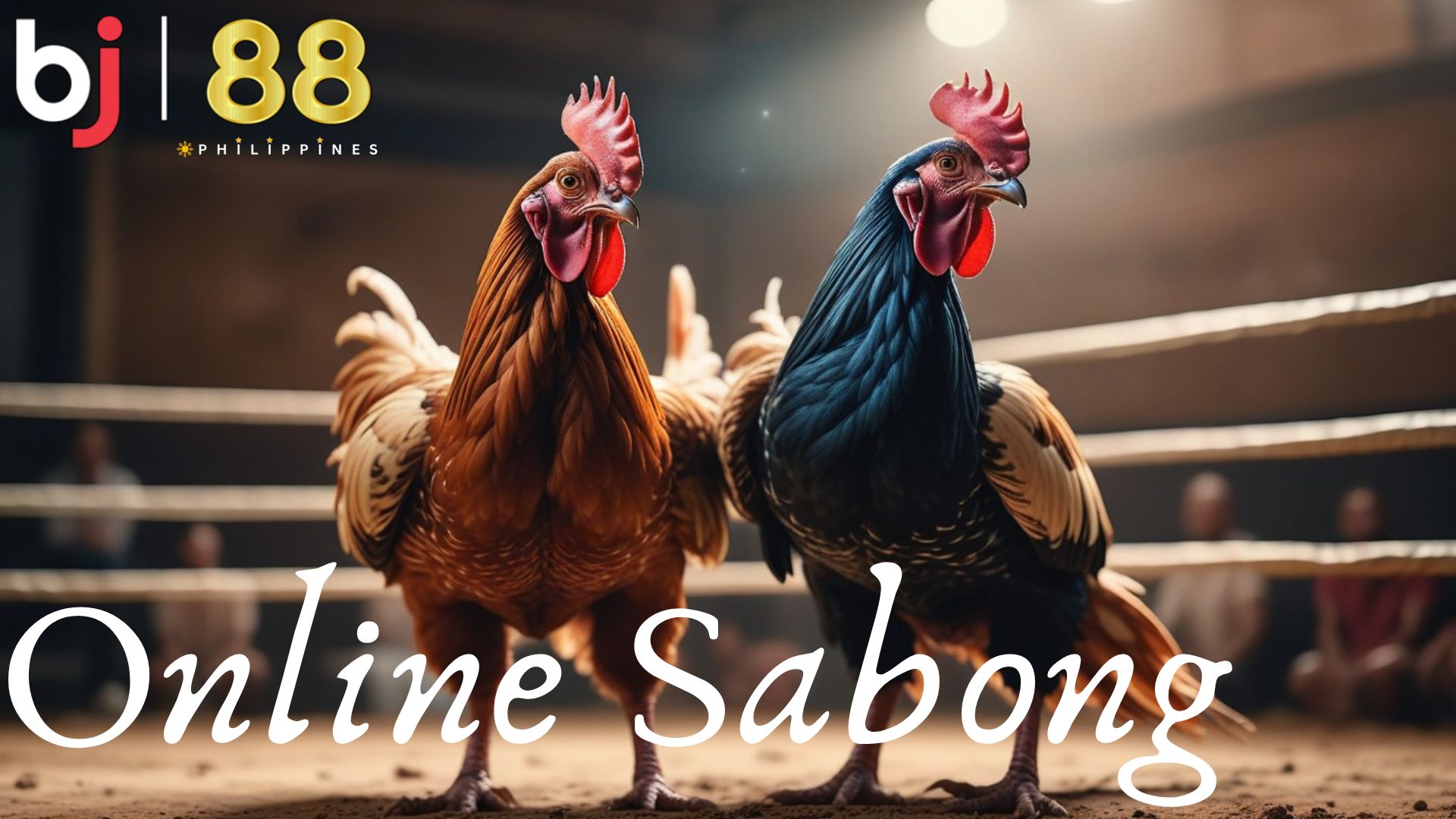 Ready to Test Your Cockfighting Smarts and Rise Above the Rest? Enter ...