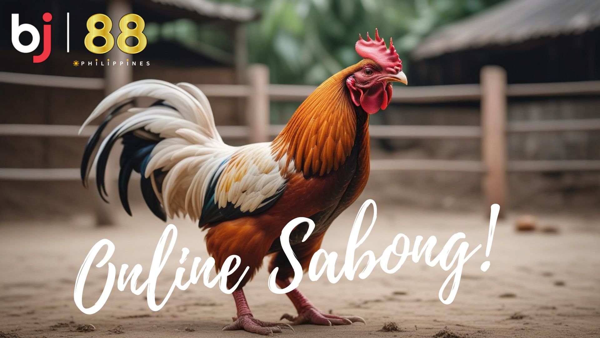 Embracing Tradition and Technology: BJ88's Sabong Spectacle. - BJ88 Philippines