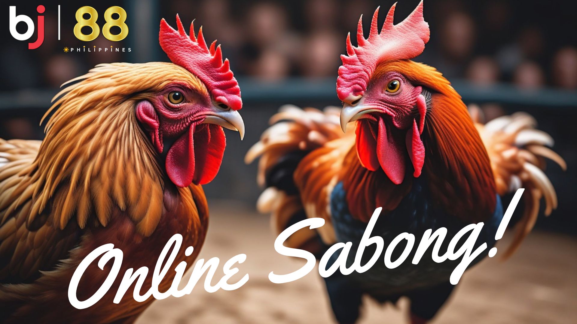Unveiling Rooster Royalty: Unlock VIP Privileges at BJ88's Sabong. - BJ88 Philippines