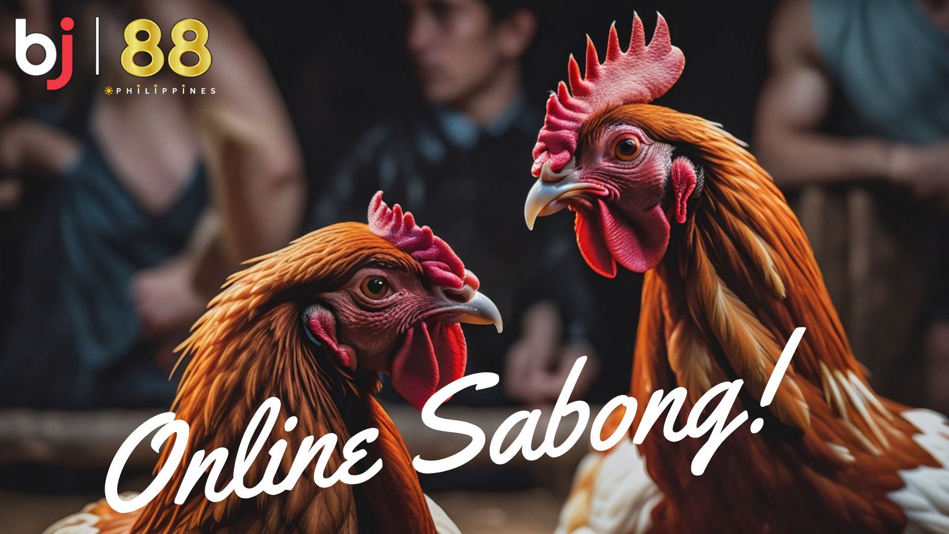 Ascend to Avian Royalty: BJ88's E-Sabong VIP Lounge - Where Exclusivity Meets Exhilaration ...