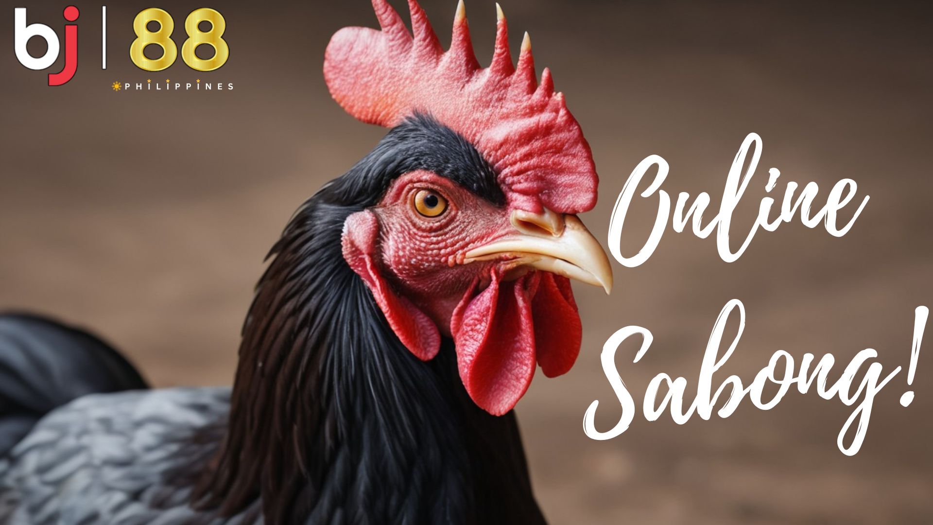 BJ88's Sabong Renaissance: A Fresh Perspective. - BJ88 Philippines