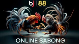 BJ88: Why Online Sabong is Big in the Philippines. - BJ88 Philippines